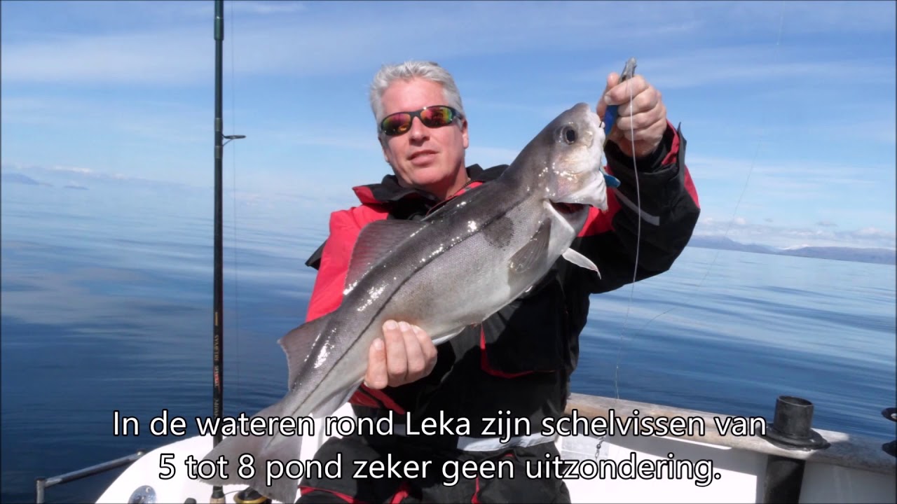 Zeevissen in Leka (Midden Noorwegen) - YouTube