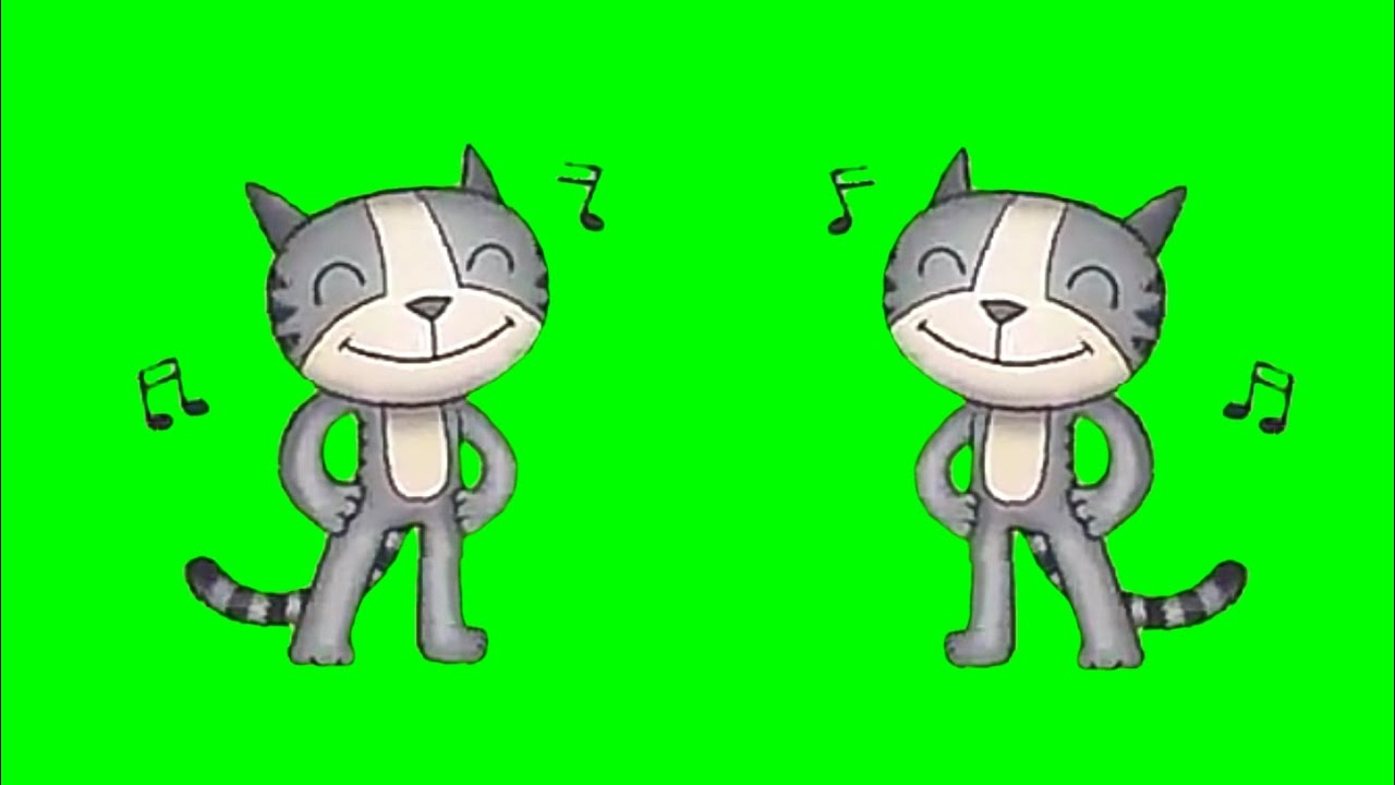 Kucing Greenscreen - Dancing Cat Greenscreen | Animal Greenscreen - YouTube