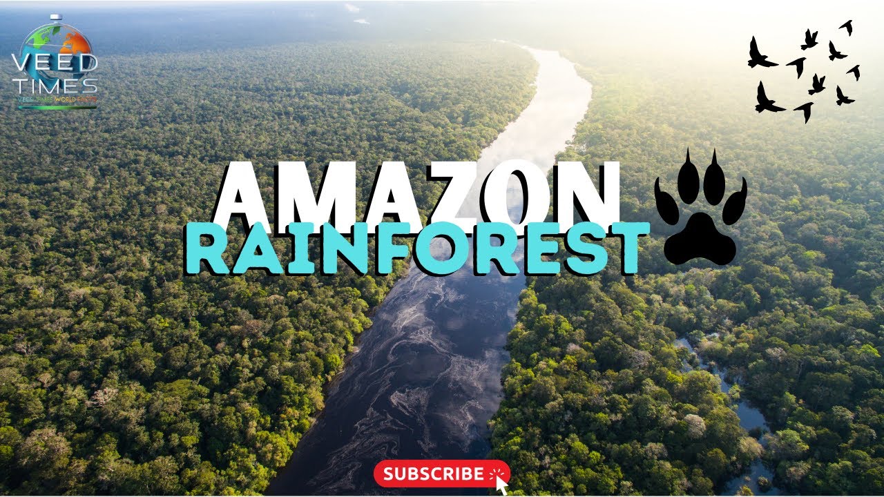 "Amazon RainForest" Short Documentary by Veed Times. - YouTube