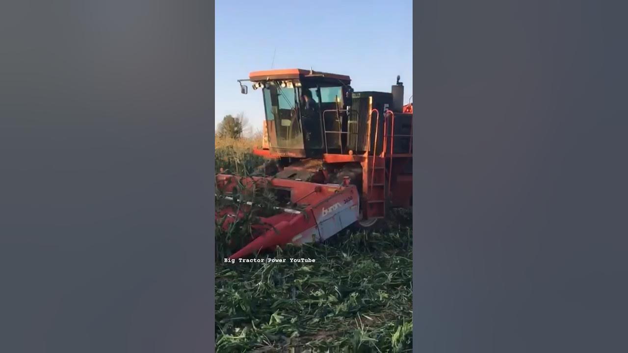 Byron 8400 Sweet Corn Harvester Bigtractorpower Oxbointernational
