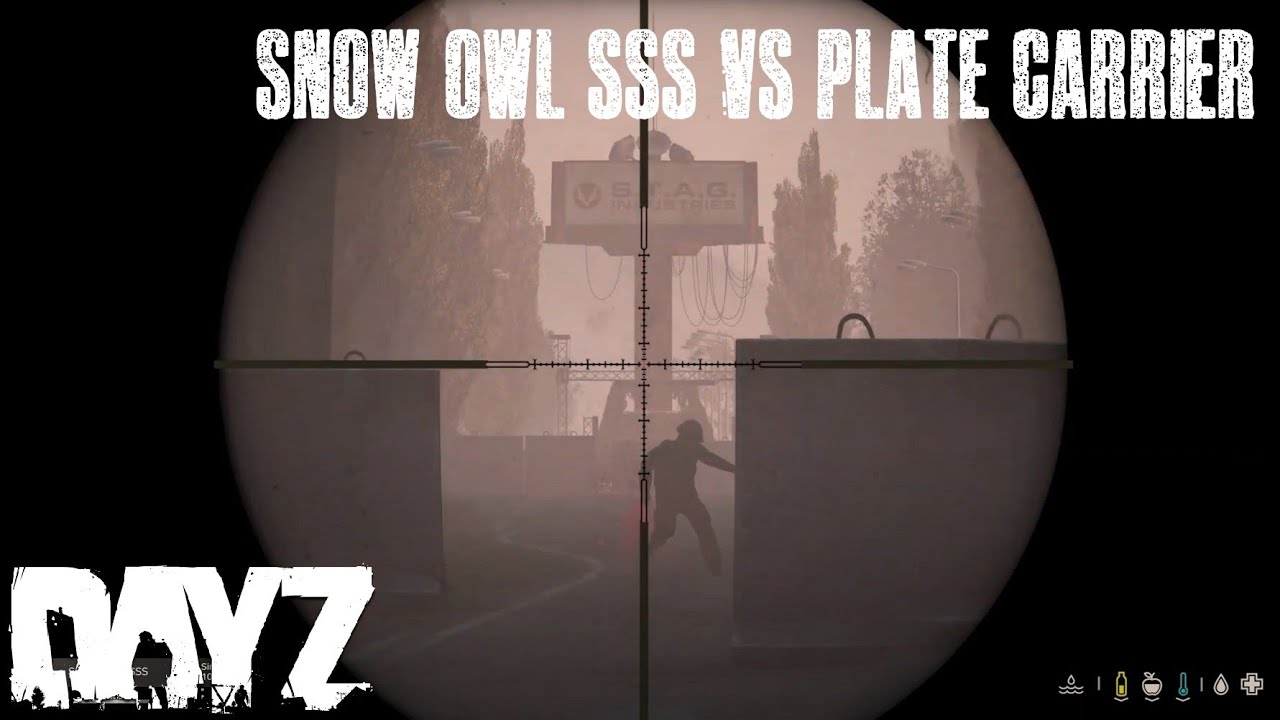 Snow Owl SSS Super Sonic Sabot Rounds VS Plate Carrier DayZ.... - YouTube