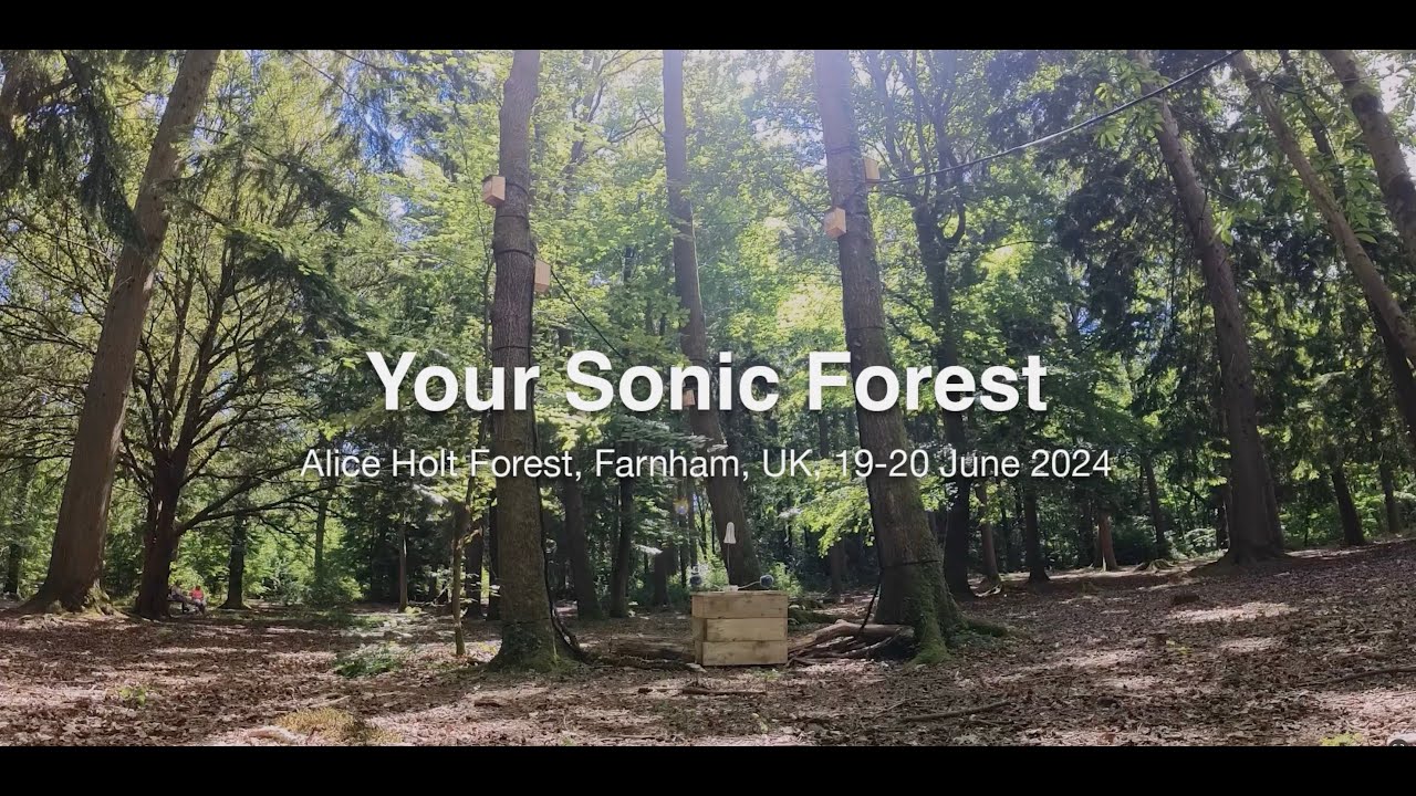 Your Sonic Forest | The Exhibition - YouTube