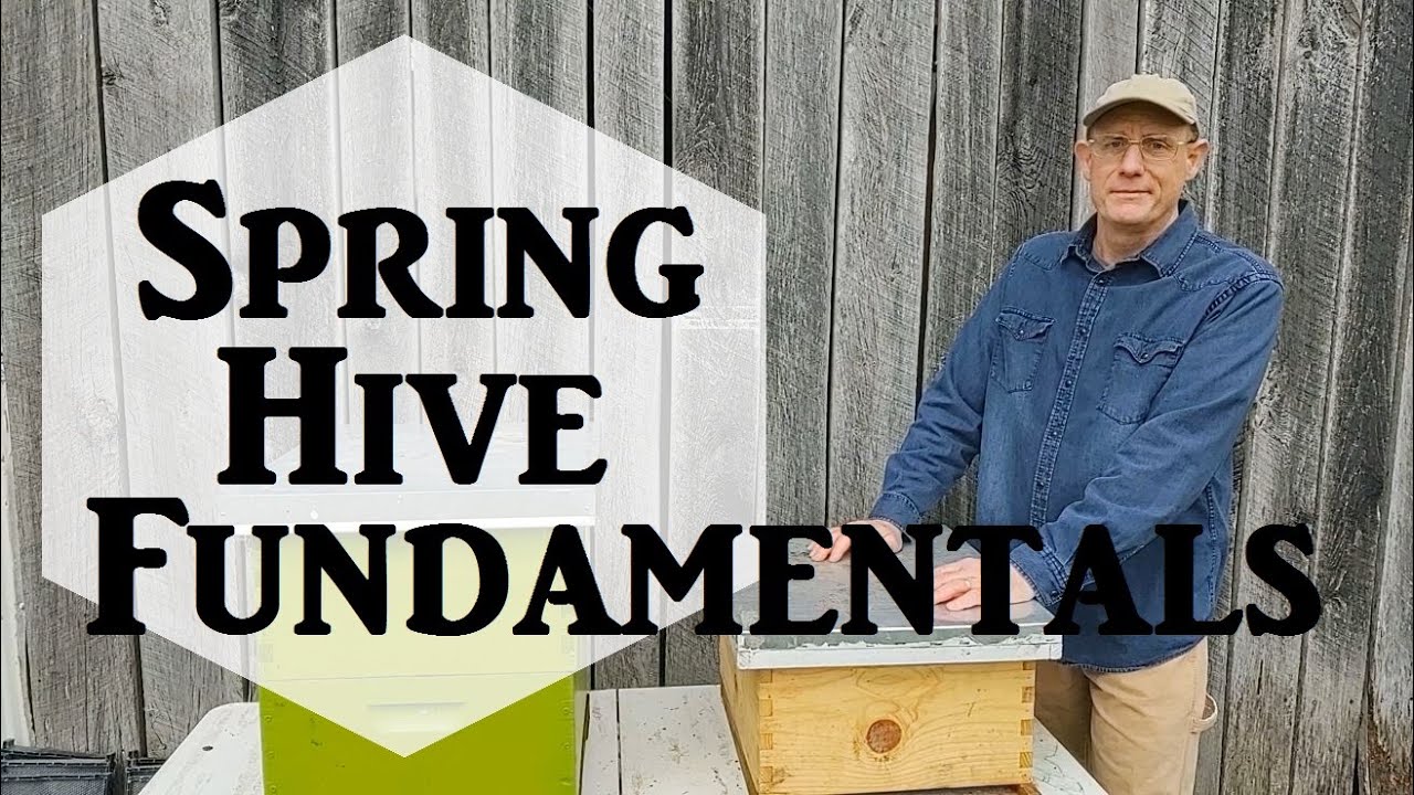🔶Early Spring Nest Management Fundamentals 🐝 - YouTube