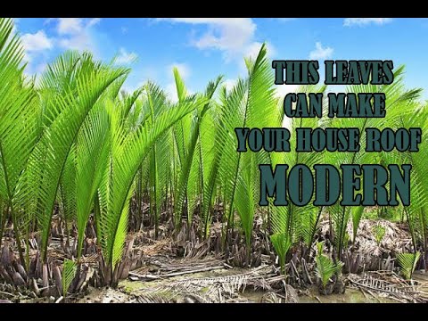 MAKE YOUR HOUSE ROOF MODERN / NIPA or PAWID ROOF - YouTube