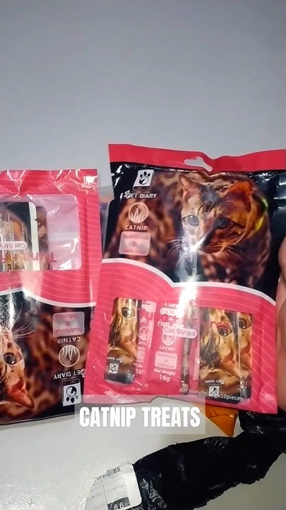 Catnip Treats | Treats For Cats #cattreats #catnip #catfood #catvideos #catshorts #kittenfood ...