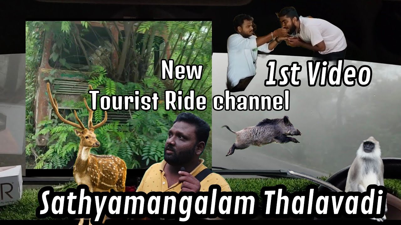 Sathyamangalam thalavadi | Tourist Ride YouTube channel | vlog | Tamil ...