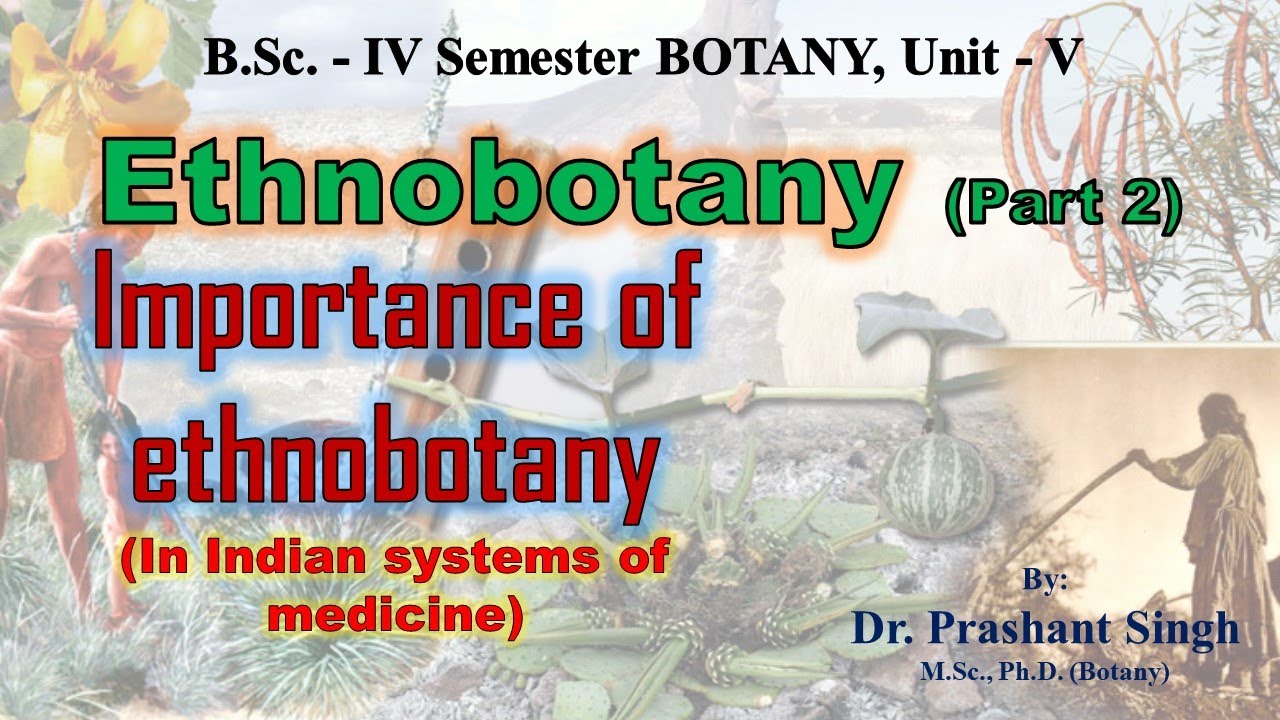 Importance of ethnobotany in Indian systems of medicine (Ethnobotany ...
