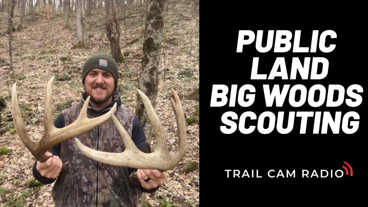 Postseason Scouting Pennsylvania Public Land Mountain Bucks Steve Sherk ...