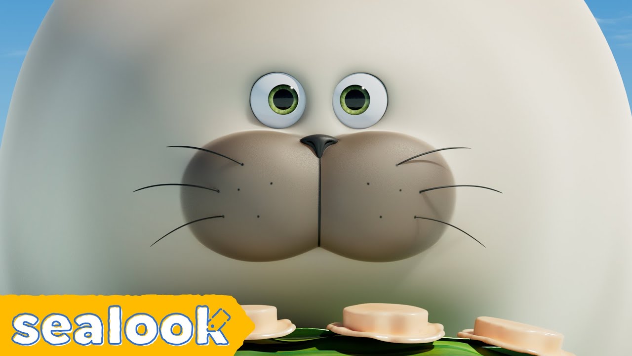 Your Friendly Neighbor, Chubby Seal | SEALOOK | Episodes Compilation - YouTube