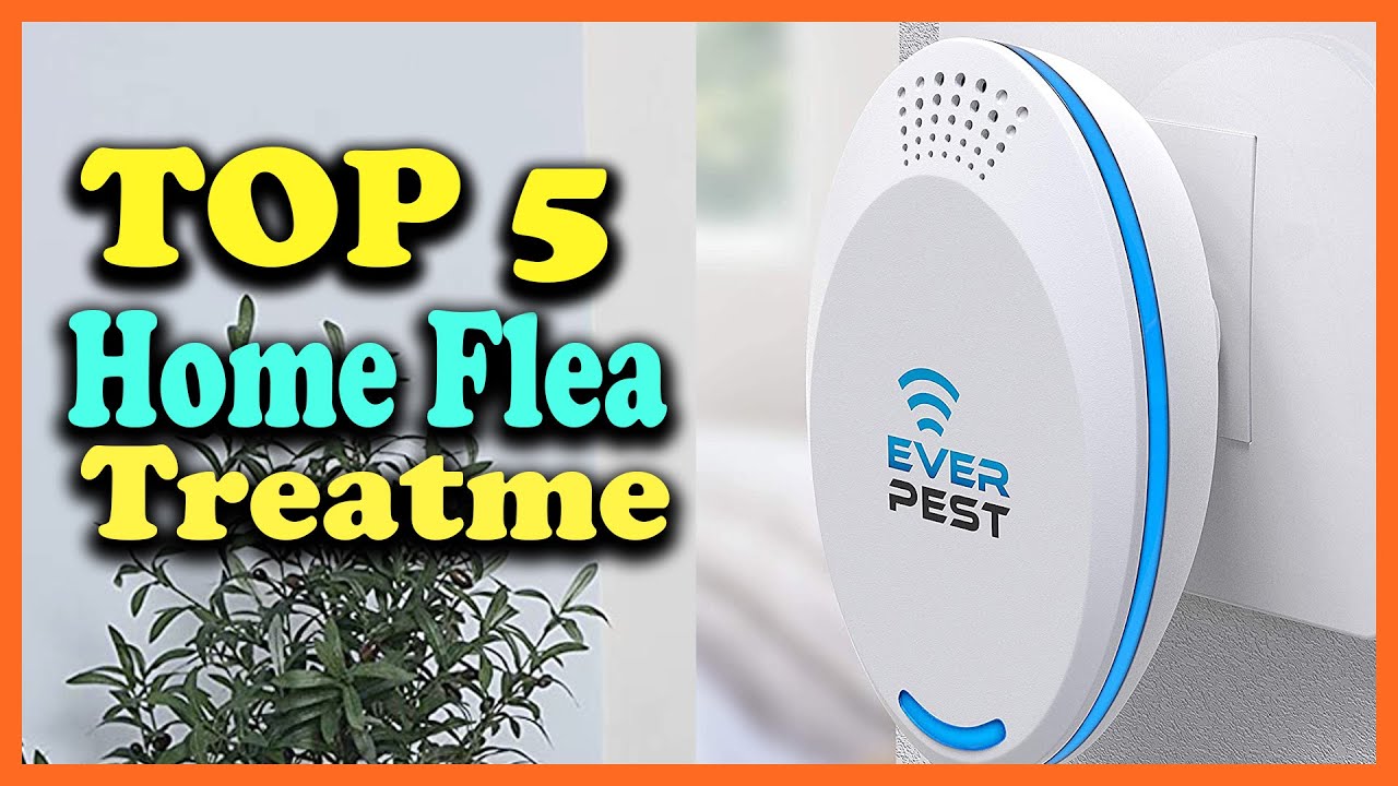 Top 5 Best Home Flea Treatments of 2022 - YouTube