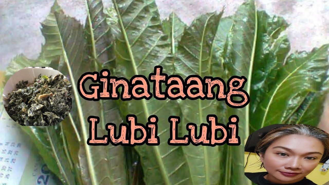 My First Time Cooking GINATAANG LUBI LUBI😉 - YouTube
