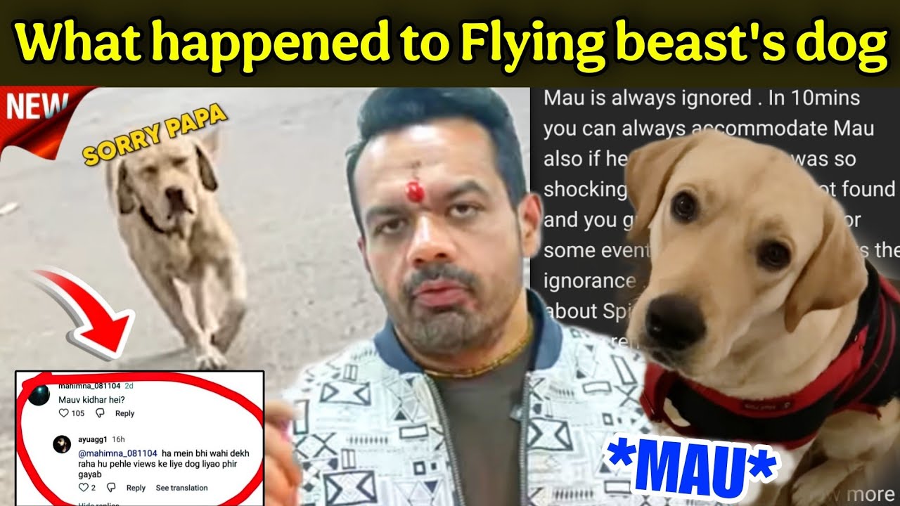 What happened to Flying beast's dog: Gaurav taneja के Dog mau को क्या ...