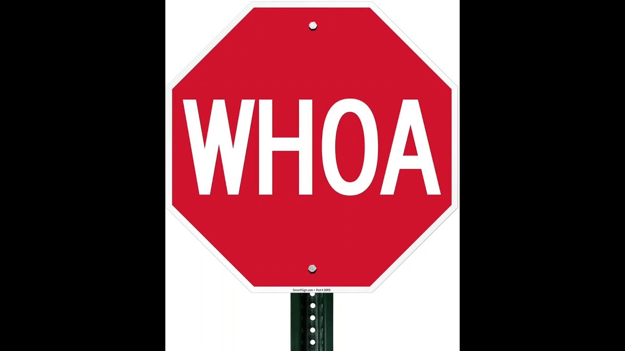 WHOOOAAA Sound Effect - YouTube