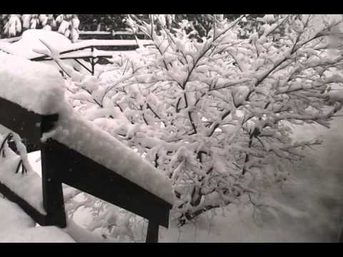 Feb. 13,2014...24 inches of snow in Roanoke, VA .. - YouTube