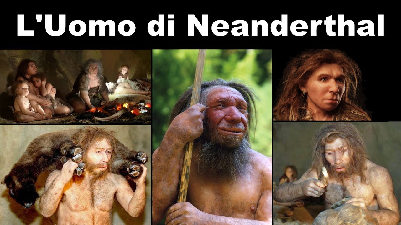 🦌🌲🔥 L'UOMO DI NEANDERTHAL: caratteristiche e abitudini - Preistoria ...