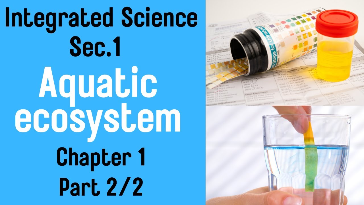 علوم متكاملة Integrated science | Sec.1 |Aquatic ecosystem | Theme 1 Chapter 1|Part 2/2| 1 st ...