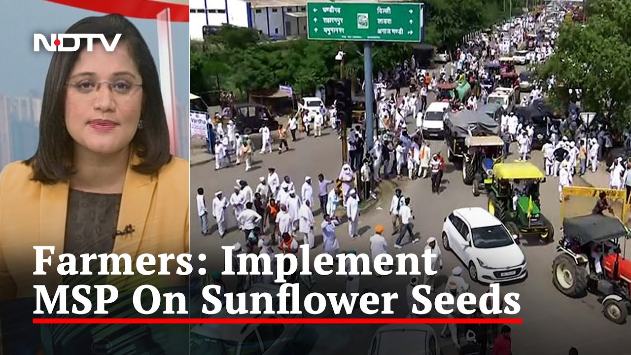 Farmers Protest: Farmers Demand MSP For Sunflower Crop, Block Highway ...