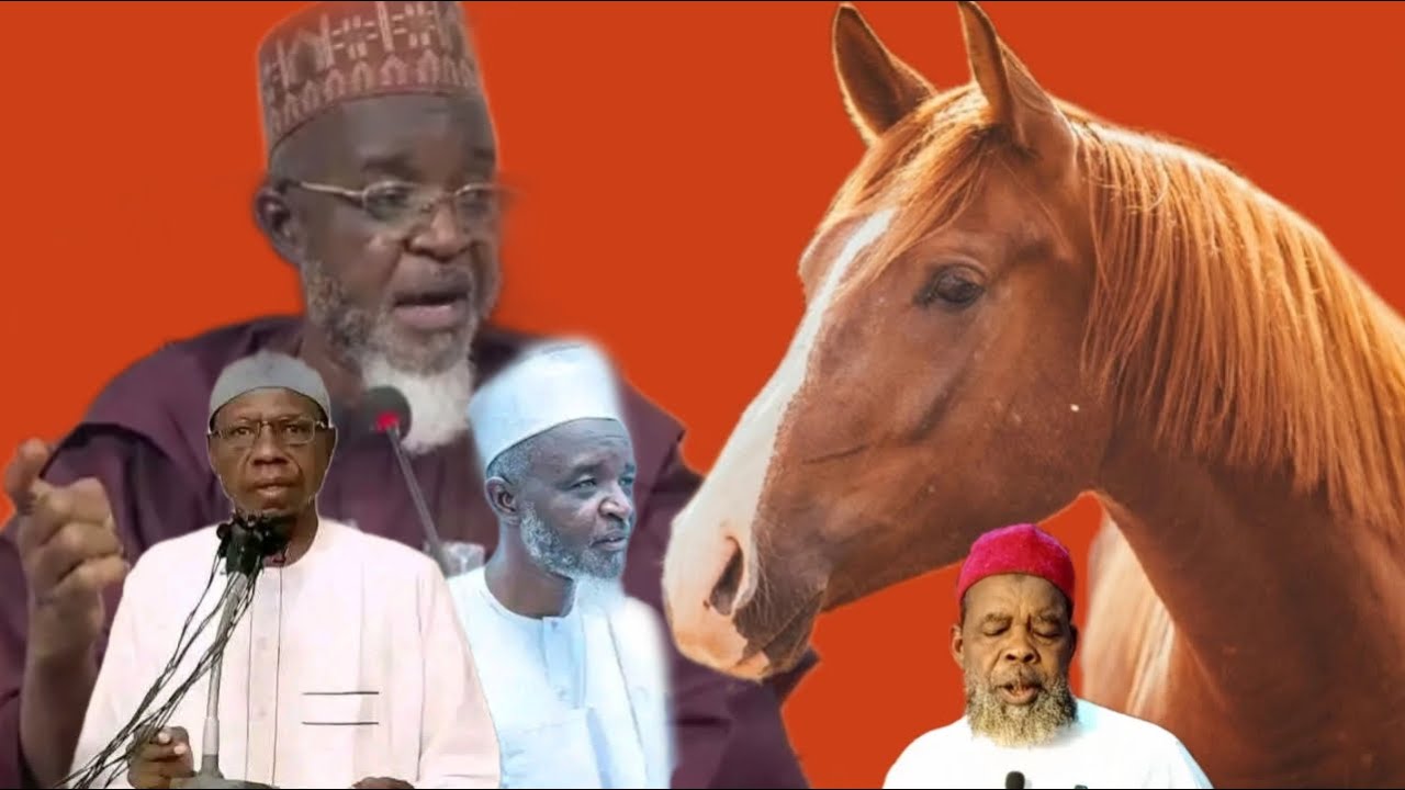 Cin Naman doki Zaman Sheikh Bello agidan kurku - YouTube
