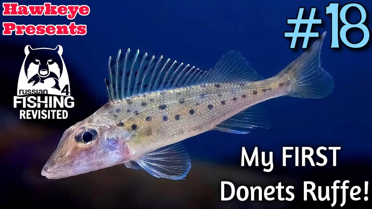 Russian Fishing 4 - REVISITED - #18: The Winding Rivulet: My FIRST ...