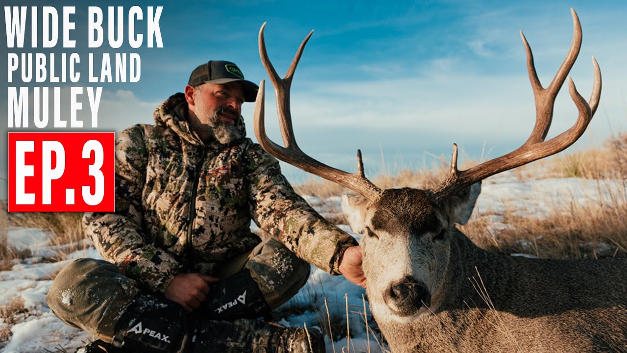 WIDE BUCK! | PUBLIC LAND MULEY | BACKPACK HUNT | 4K VIDEO | EP 3 - YouTube