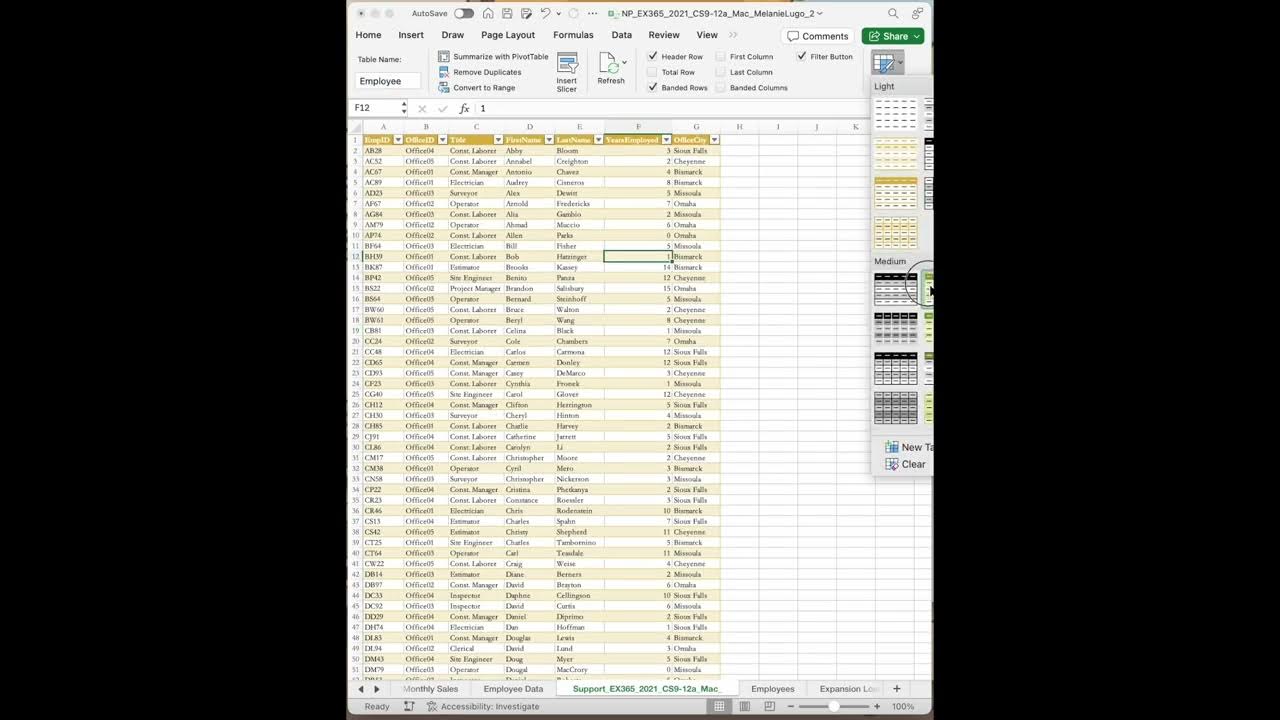 excel INSY SAM Capstone Project 1a Excel Modules 9-12 - YouTube