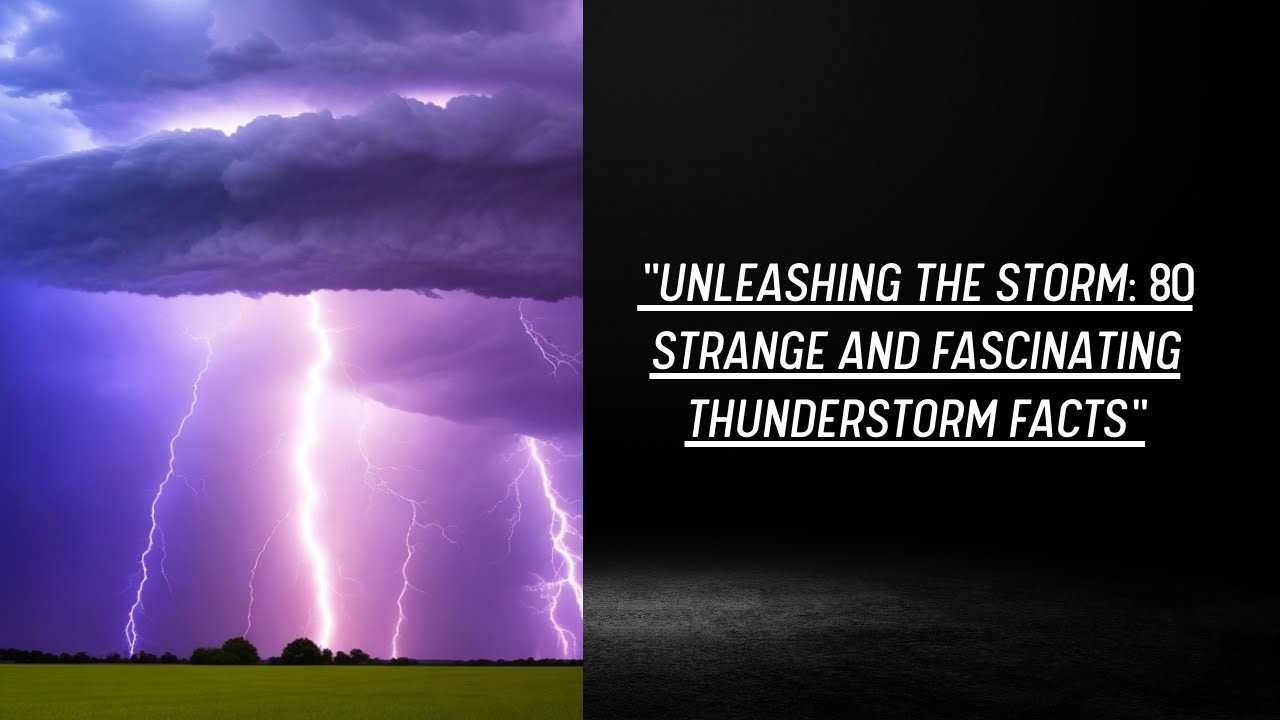 Unleashing the Storm: 80 Strange and Fascinating Thunderstorm Facts ...