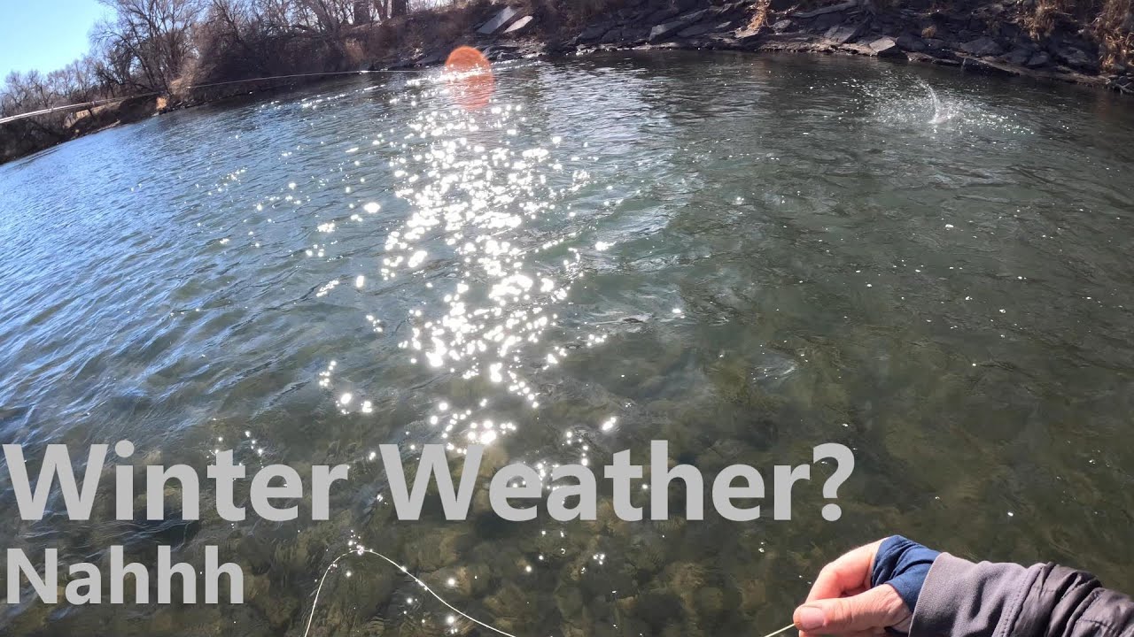 Winter Midge Activity!! (Fly Fishing) - YouTube