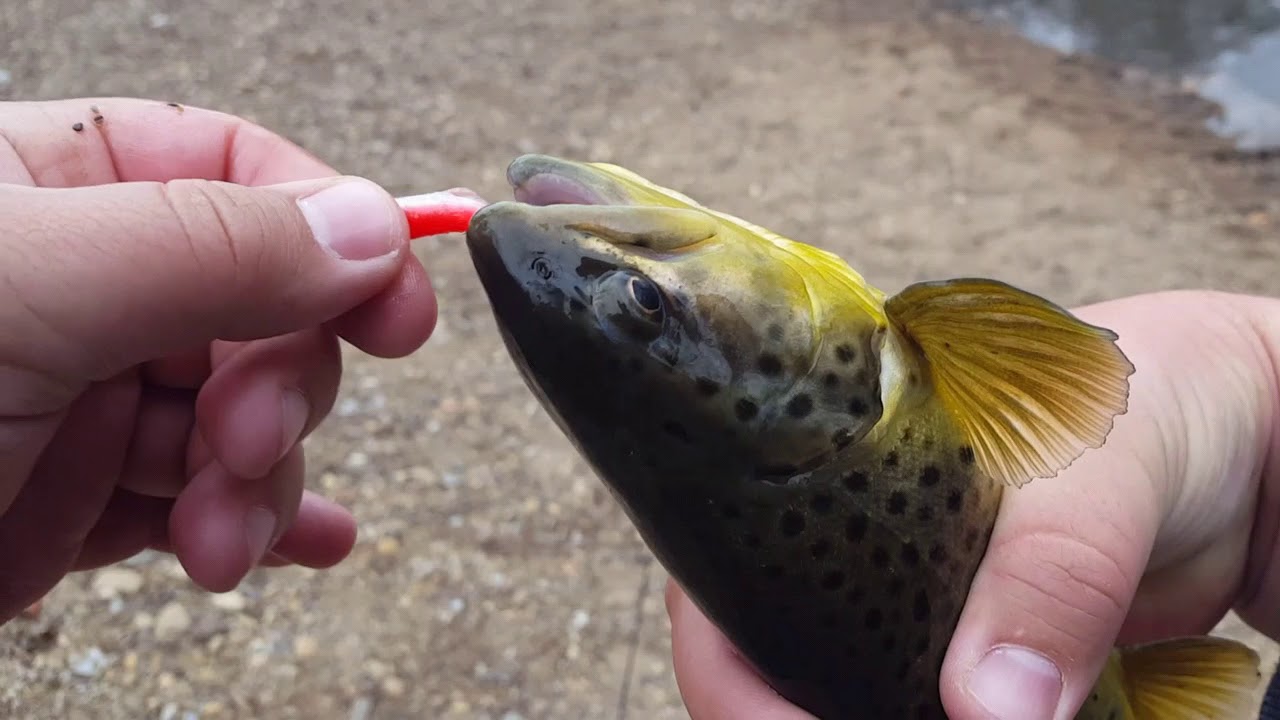 Broke Leg while Fishing, OMG the pain - YouTube