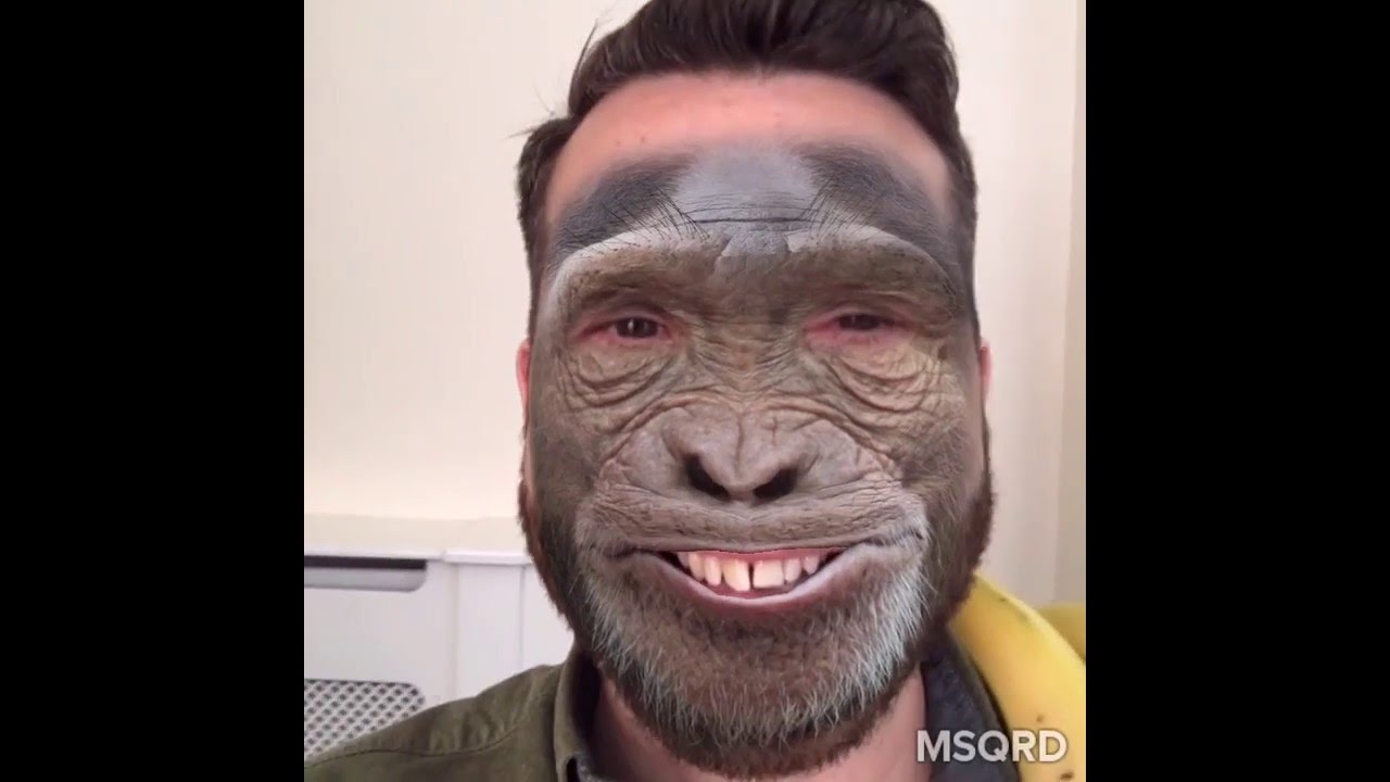 Dudley Zoo monkey - YouTube