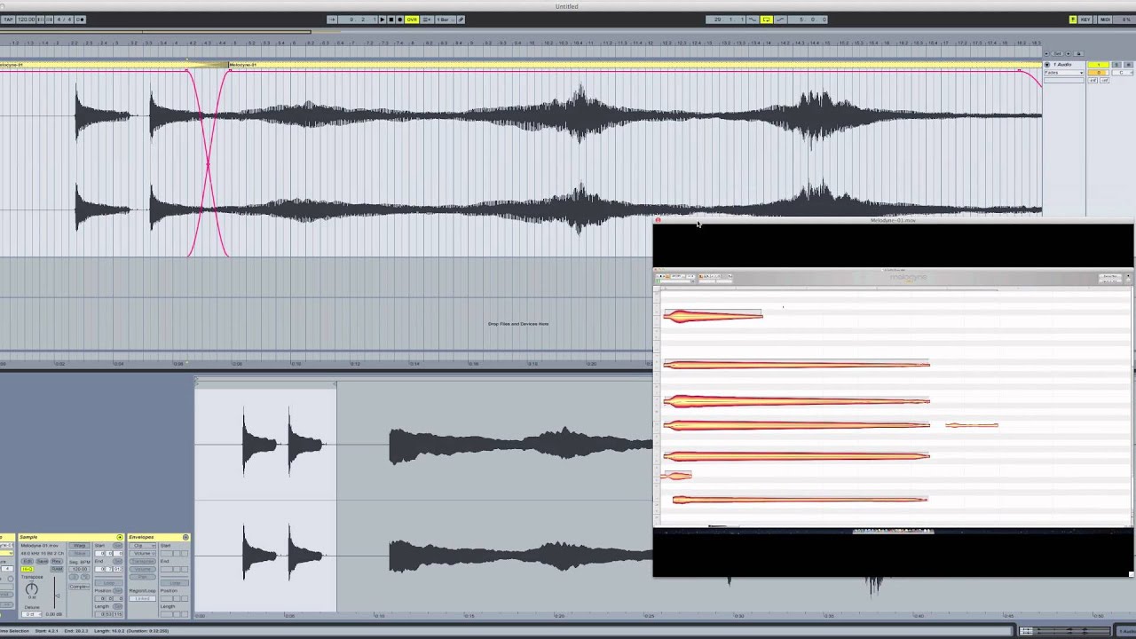 Creating Audio Sample with Melodyne & Ableton - YouTube