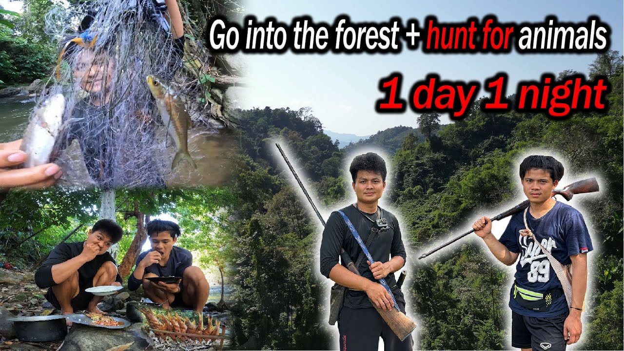Go deep into the forest and hunt for 1 day and 1 night. - YouTube