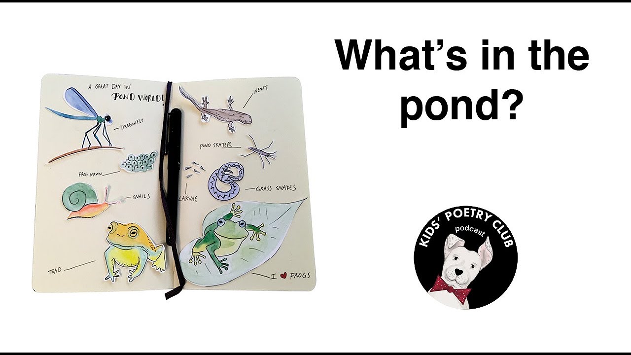Poems for Kids: Pond World - YouTube