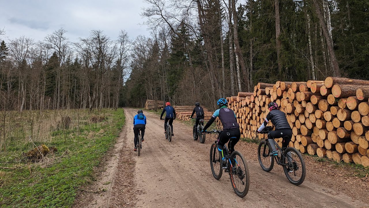 Paluknys Forest Group Ride - YouTube