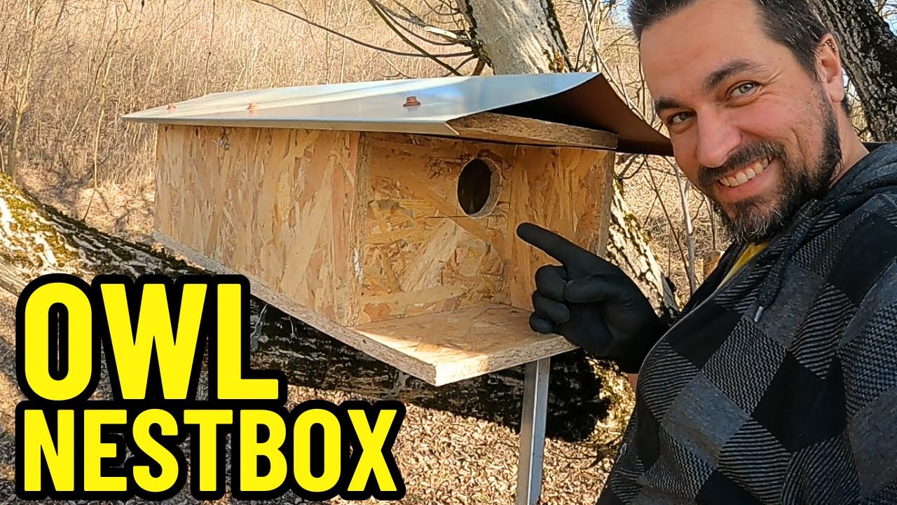 How to Build a Secure Little Owl Nest Box - YouTube
