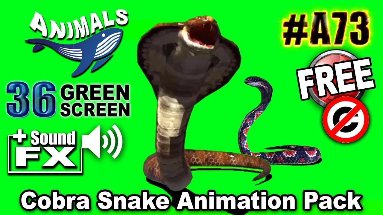 Cobra Snake Animation Pack Green Screen 3D - YouTube