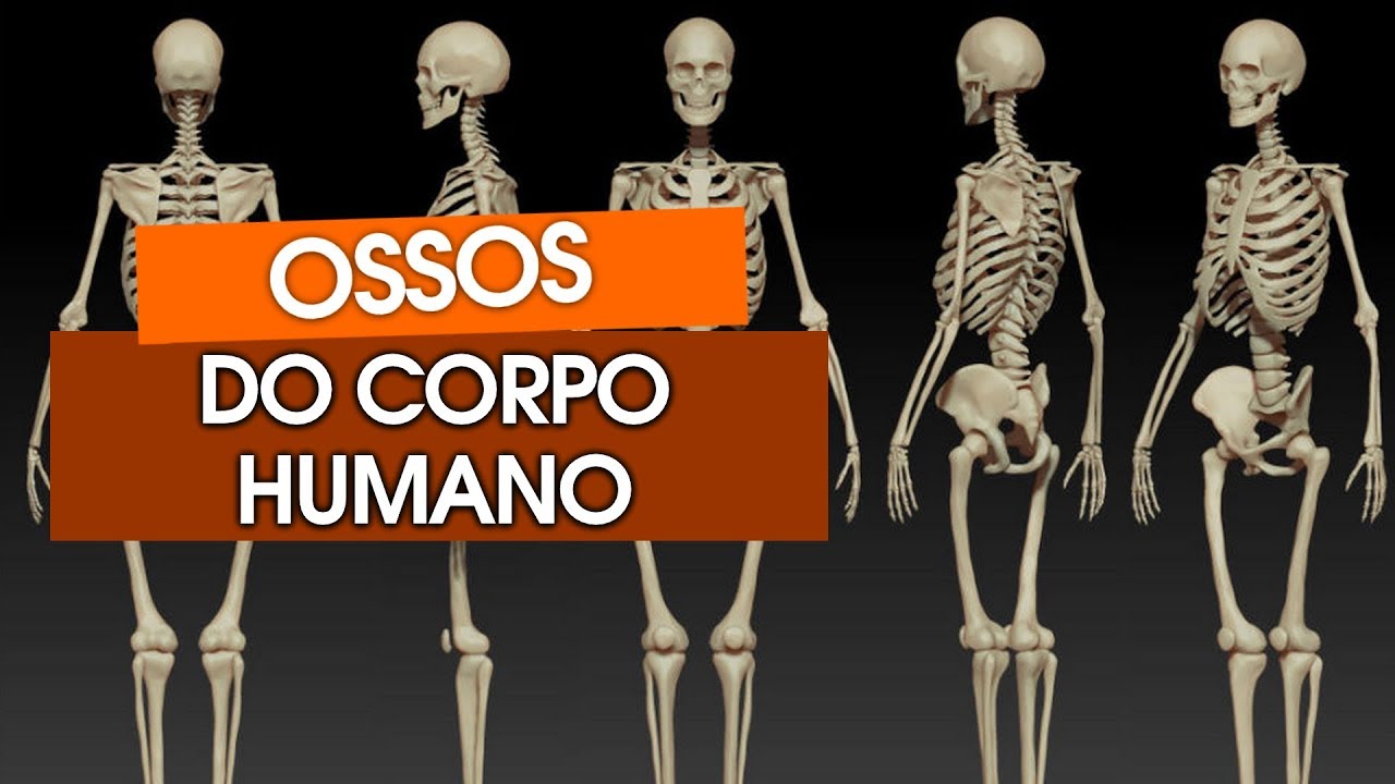 Quantos Ossos Tem Uma Crian a E Um Adulto Relacionado A Crian as quantos-ossos-tem-uma-crian-a-e-um-adulto-relacionado-a-crian-as