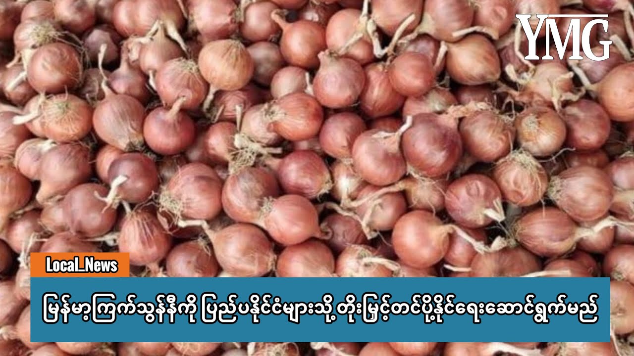 မြန်မာ့ကြက်သွန်နီကို ပြည်ပနိုင်ငံများသို့ တိုးမြှင့်တင်ပို့နိုင်ရေးဆောင