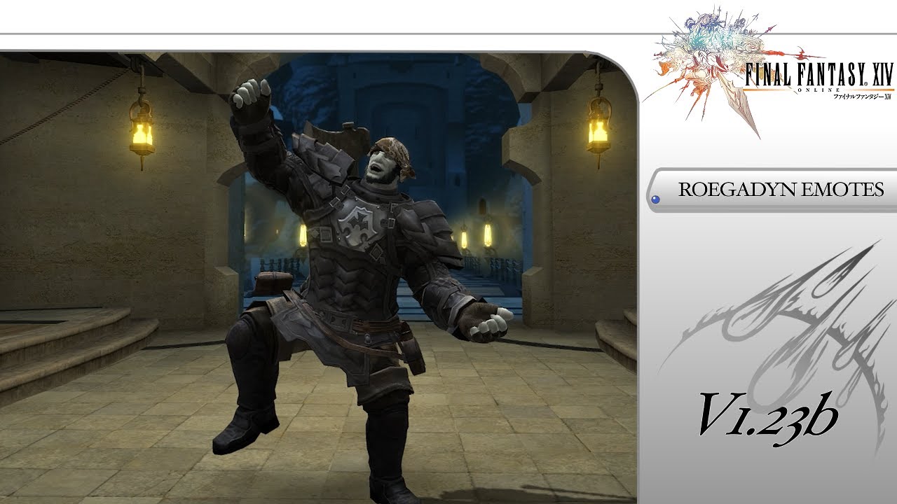 Final Fantasy XIV v1.23b: Roegadyn Emotes - YouTube