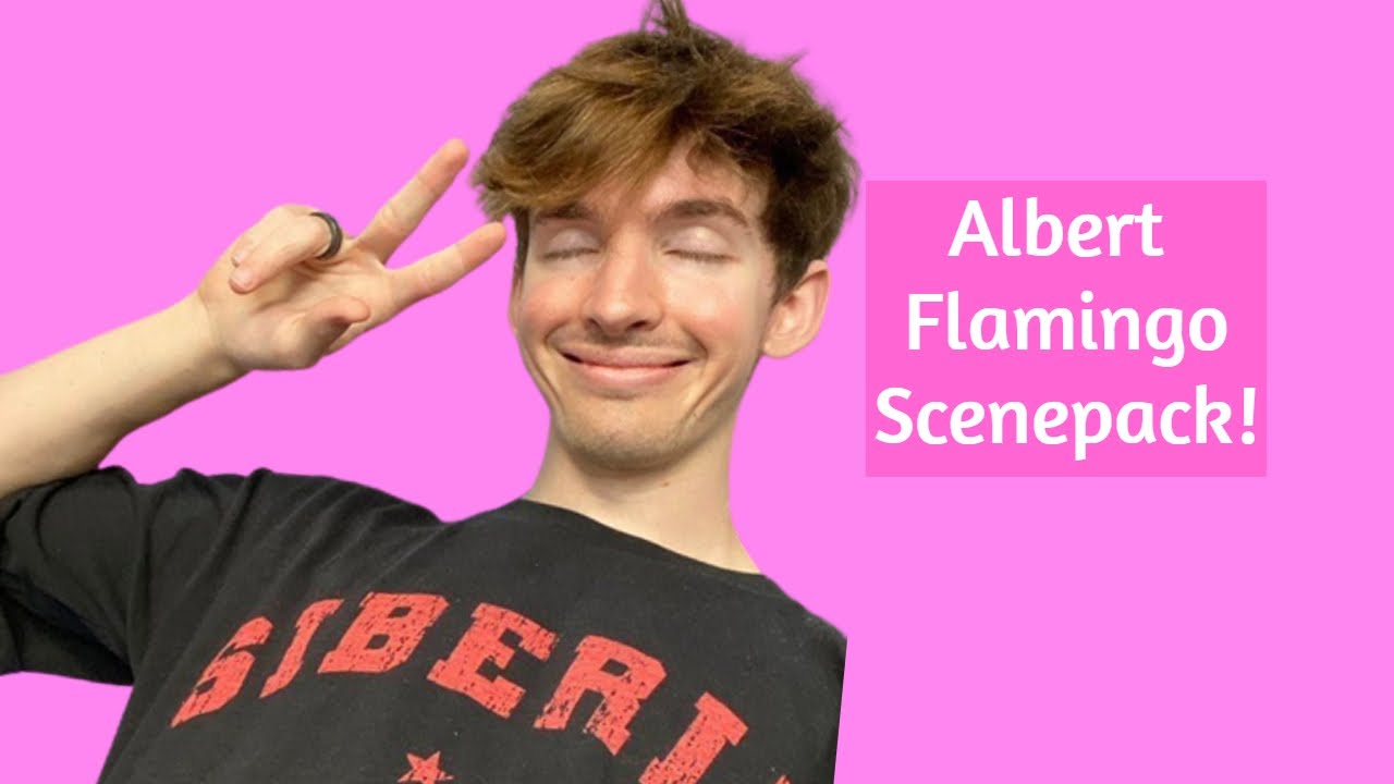 Albert Flamingo Scenepack! - YouTube