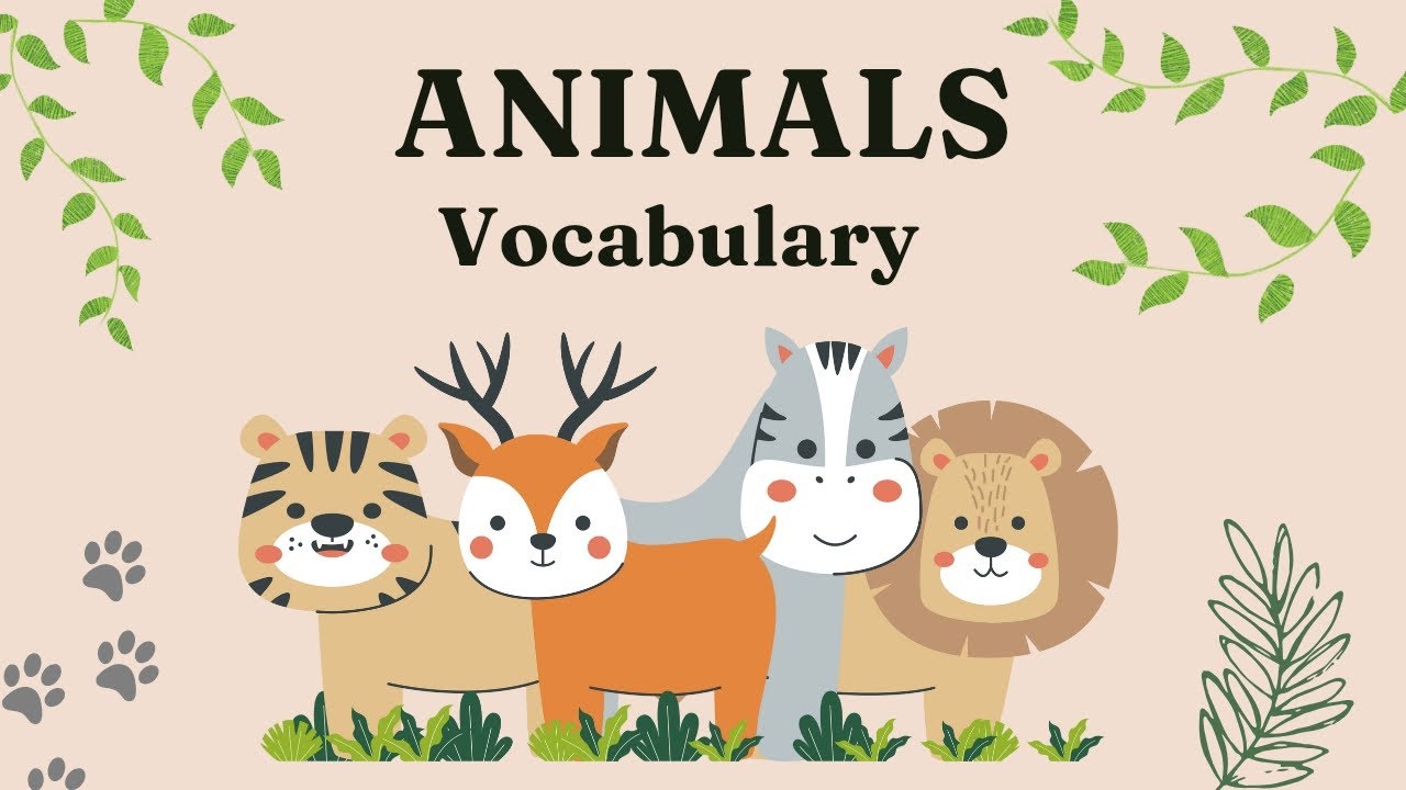 Animals Vocabulary| Aprendemos los vocabularios de los animales en ...