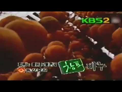 KBS2 ID - 단감 (1994년 10월) - YouTube