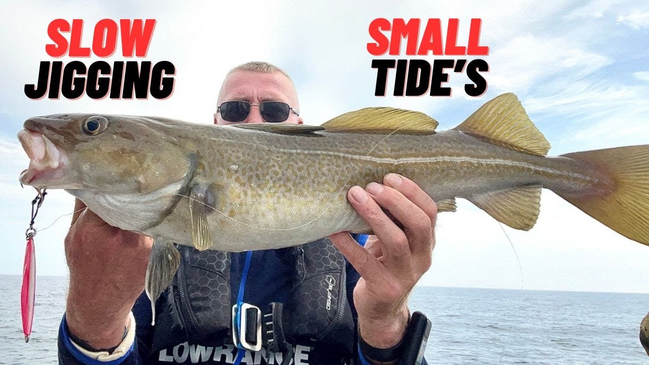 Best slow jigging technique - A Different Approach slow jig - Learn uk ...
