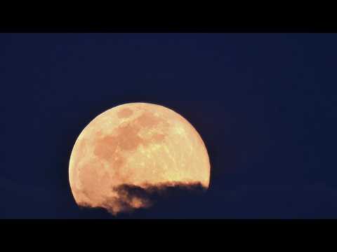 Moonlight Sleep Music 🌙 1 Hour Relaxing music for Deep Sleep