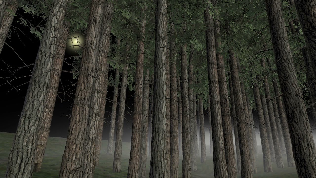 [ASMR] Night Forest Sounds - Meditation, Sleep, Relax - YouTube