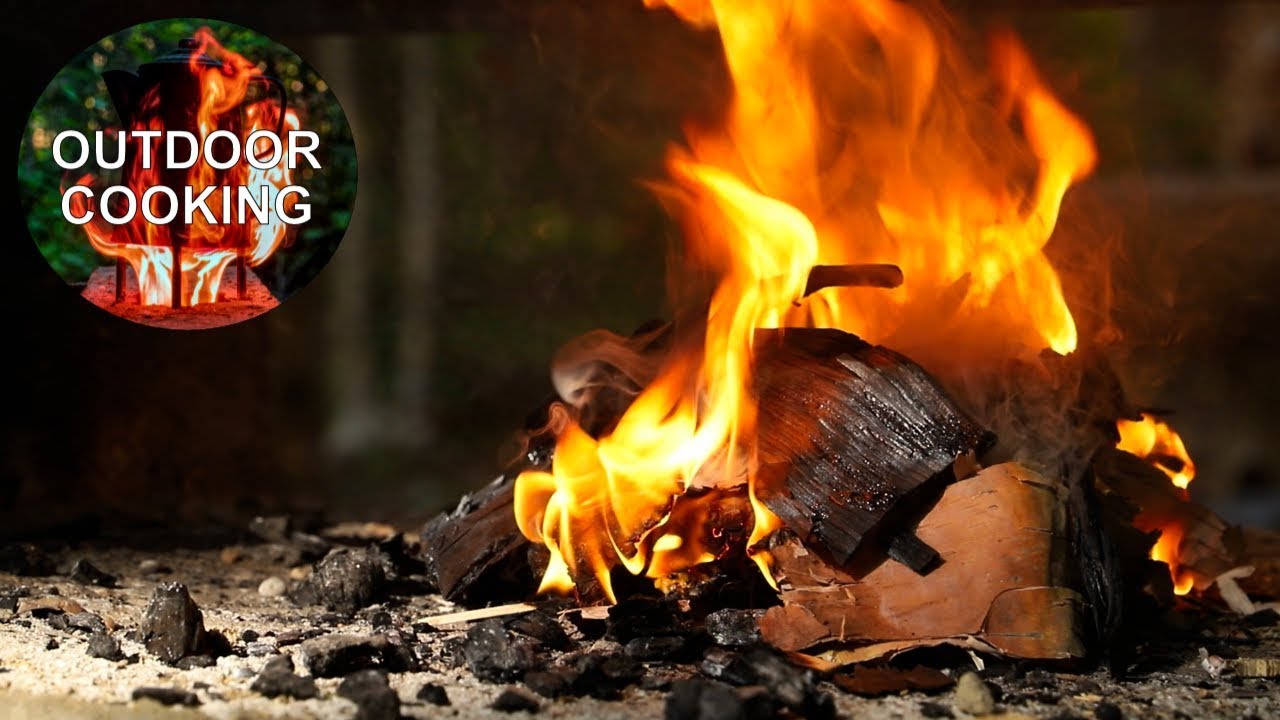 Cooking Barbecue Venison and French Fries at the Log Cabin Outdoor ...