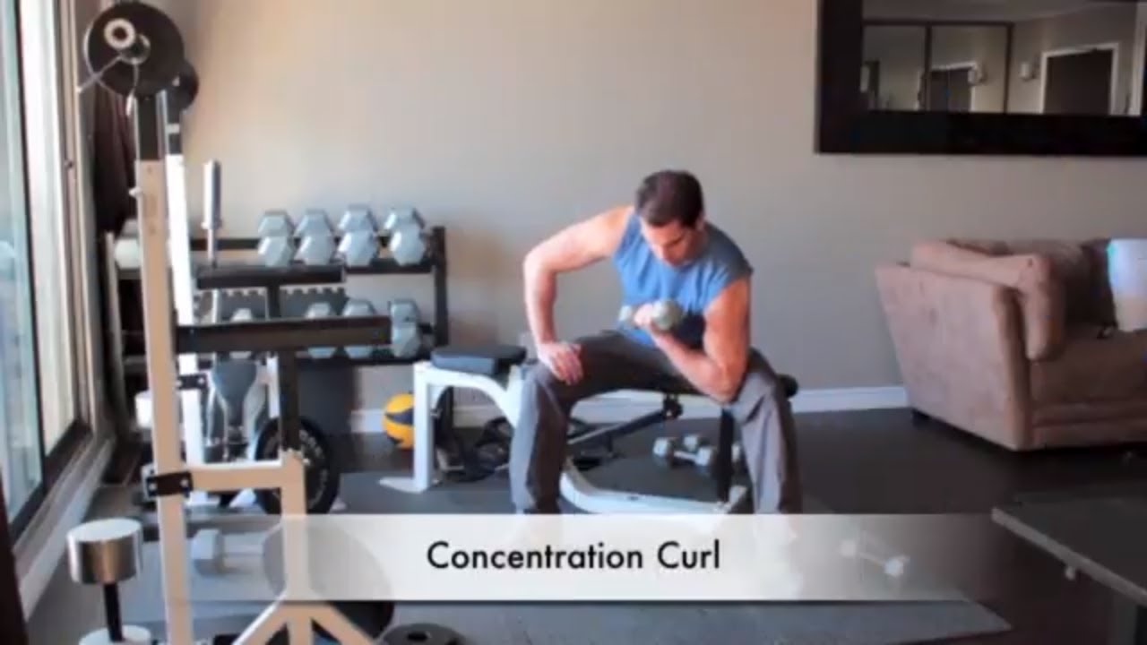 Concentration Curl - Best Dumbbell Exercise For Biceps - YouTube