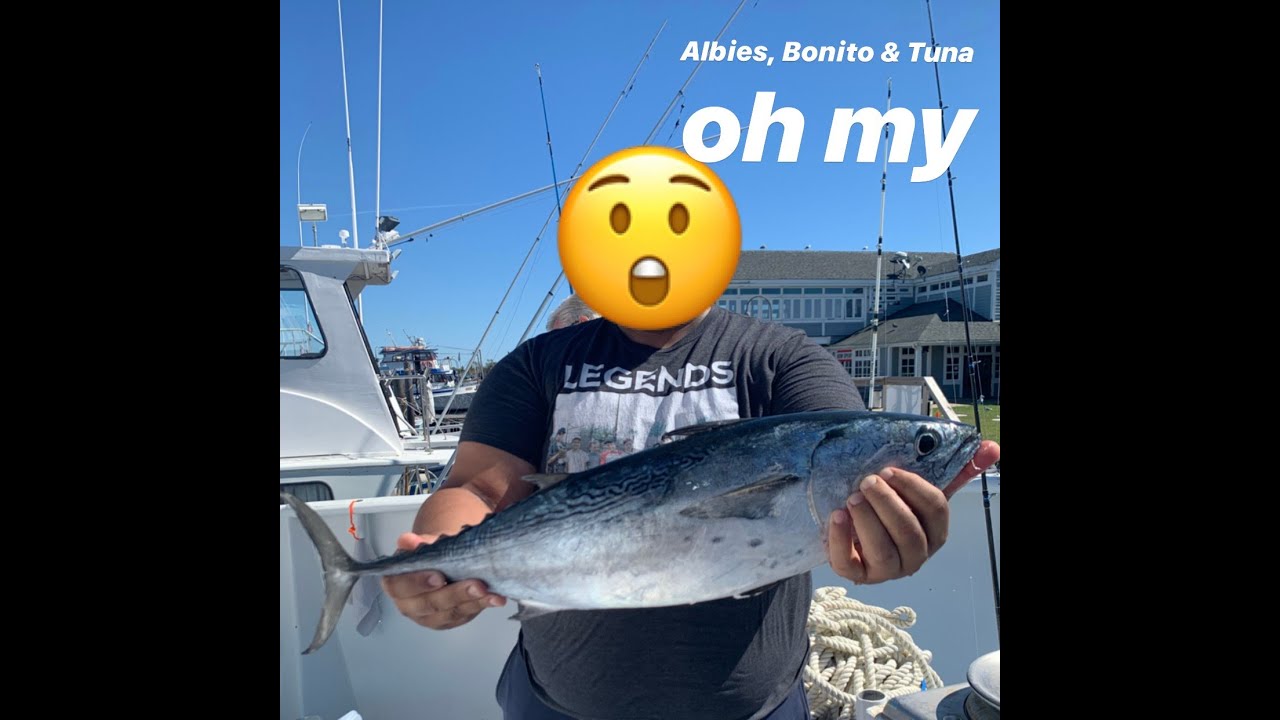 INSANE FISHING (ALIBES, BONITO & TUNA OH MY!) - YouTube