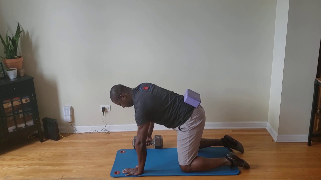Quadruped Dumbbell Row - YouTube