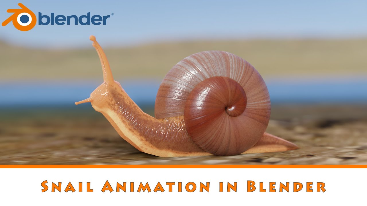 Snail Animation in Blender 2.93 - YouTube