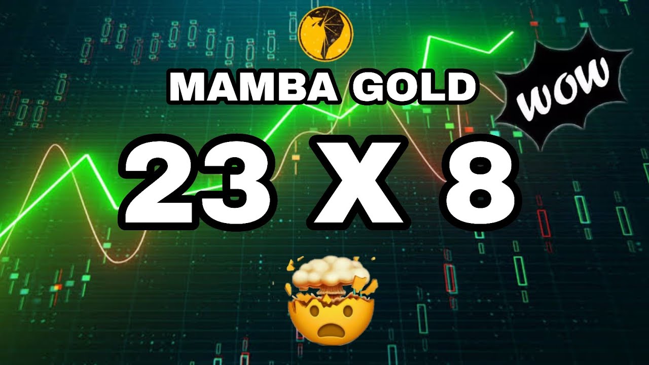 MAMBA GOLD - 23 X 8 😻🔥🤑 - YouTube